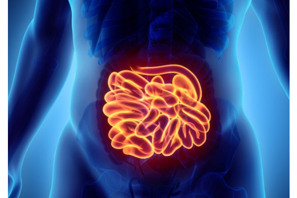 Cancerul intestinului subtire: rar, dar extrem de grav