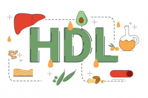 Totul despre colesterolul "bun" HDL: ce rol are si care sunt valorile ...