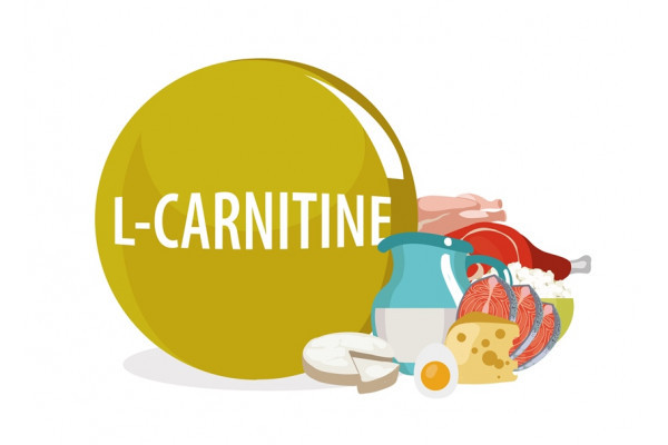 L-Carnitina: Ce este? Beneficii si Rolul in organism