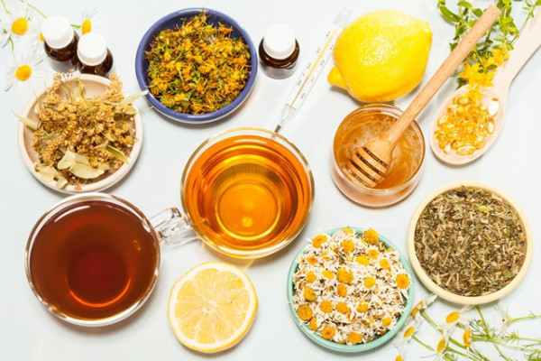 4 plante pentru raceala si gripa: cum sa le folosesti eficient