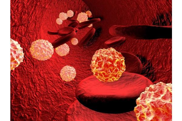 Incarcatura virala (viremia) in hepatita C
