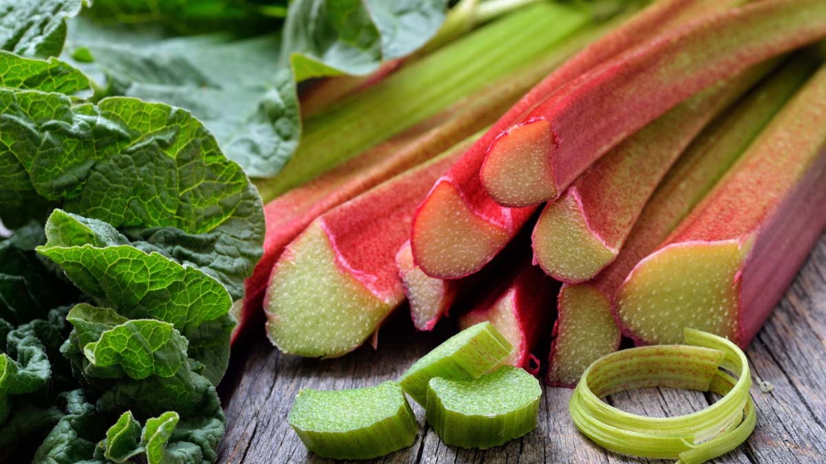 Rubarba: proprietati si beneficii, plus doua retete delicioase