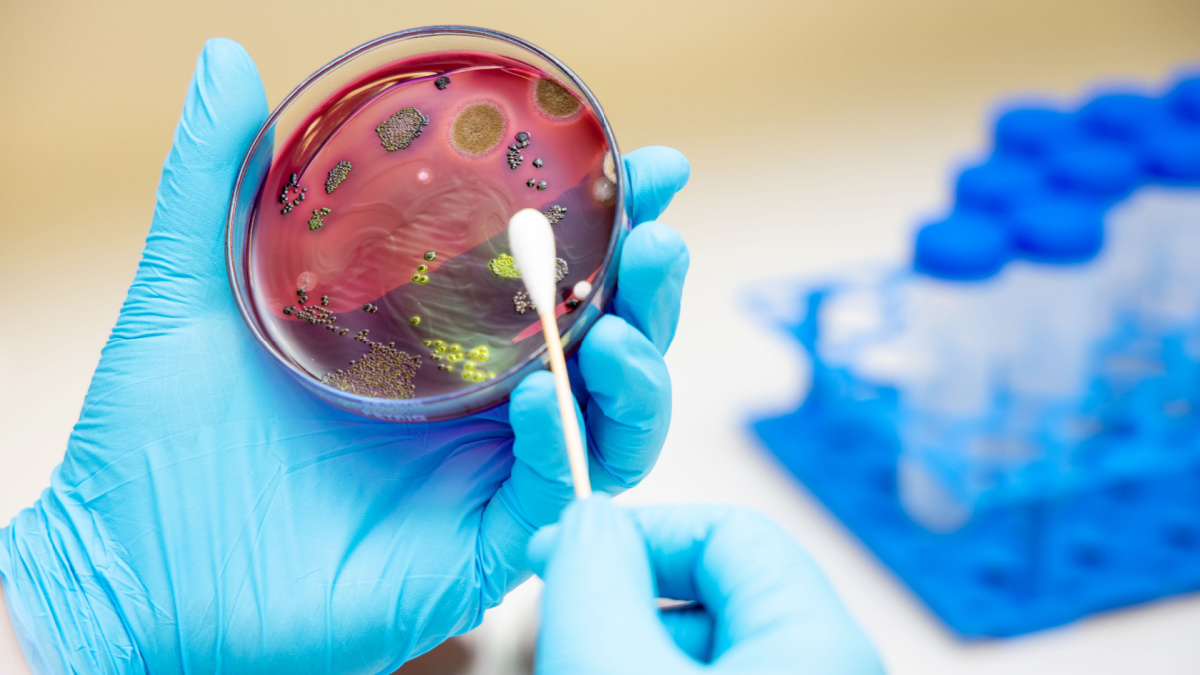 Stafilococul auriu - ce boli poate provoca și cum ne ferim de el