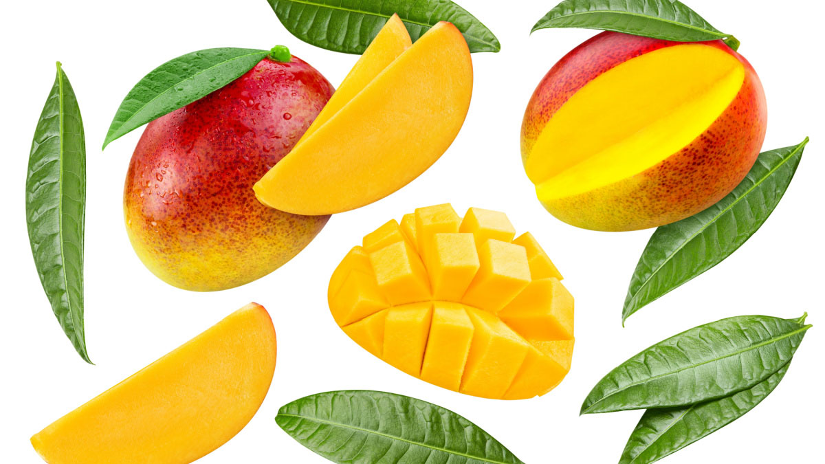 Frunzele de mango, beneficii umitoare pentru sanatate Frunzele de mango, beneficii umitoare pentru sanatate