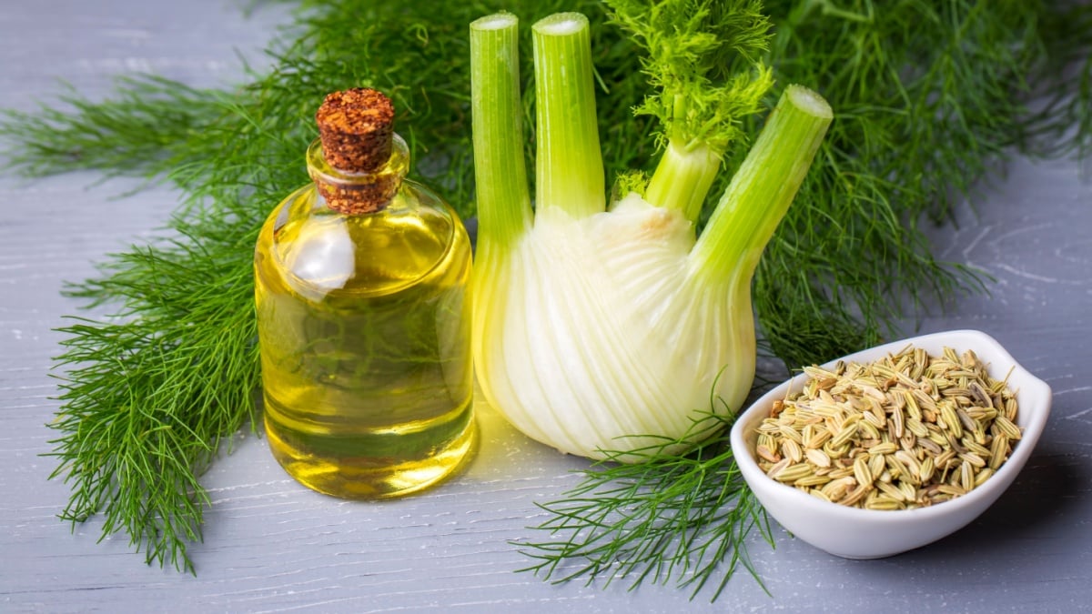 Fenicul: ce este, ce beneficii are, cum se alege si cum se prepara?